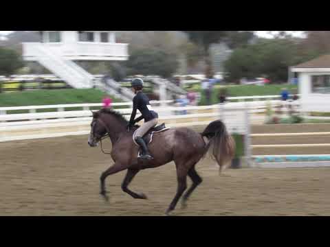 Castello C // 3' 5yo Young Hunters // April 2018