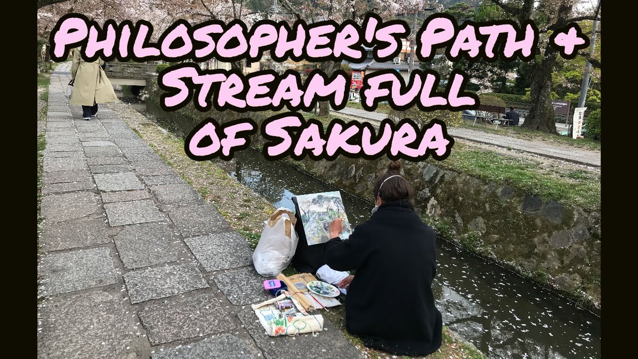 Kyoto | Philosopher's Path and the Sakura Stream