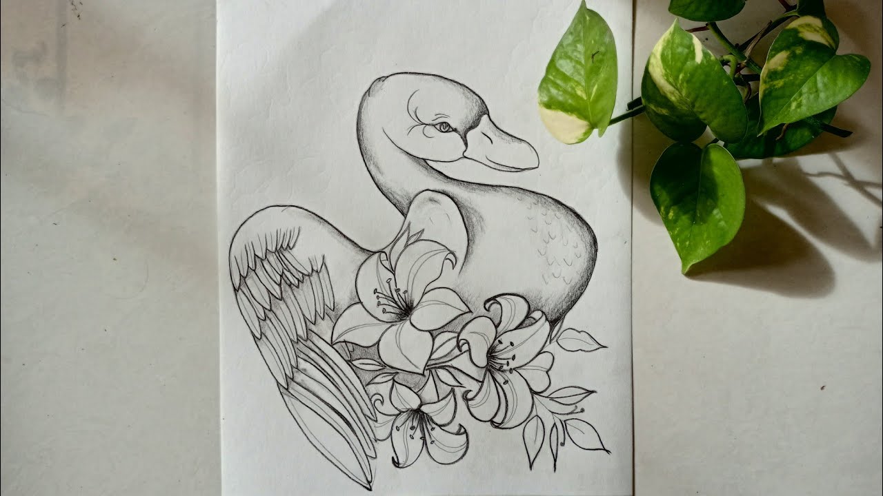 Daily challenge#78/How to draw a swan/ step by step drawing tutorial ...