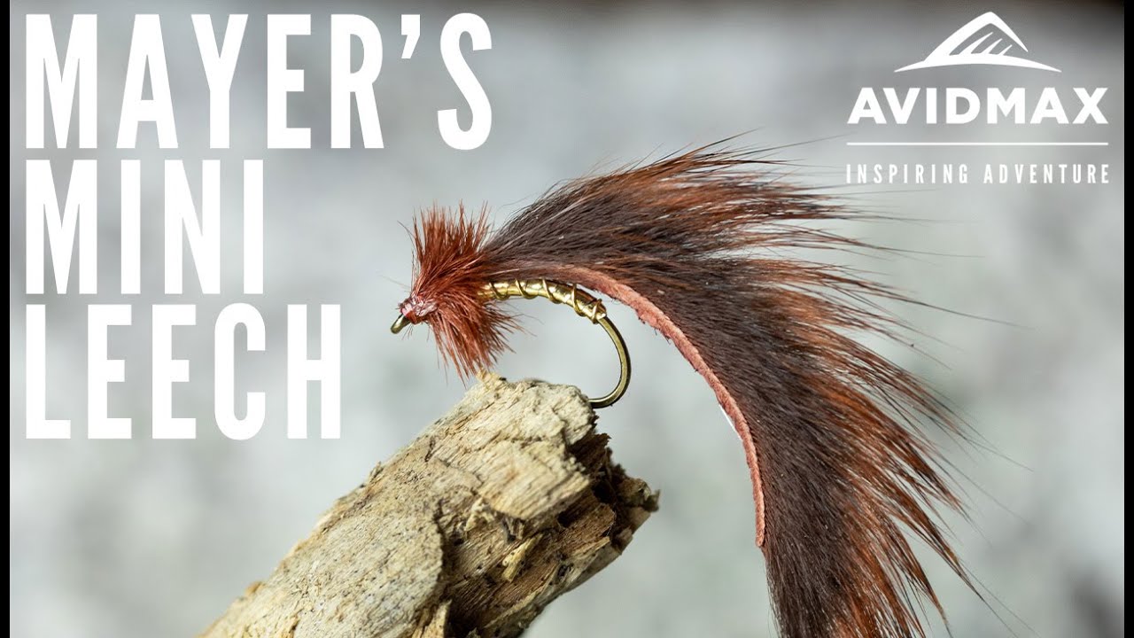 How to tie Mayer's Mini Leech | AvidMax Fly Tying Tuesday Tutorials ...