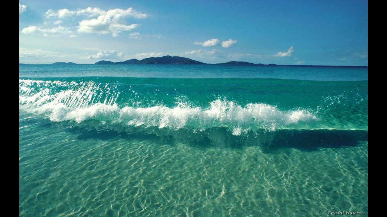 Sea waves and shells sounds ~ Relaxing 1 hours - YouTube