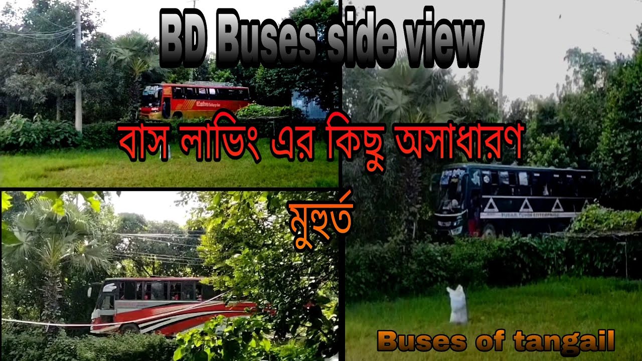 BD buses side view. Part-1 || Bus loving || প্রতিটি বাস লাভারদের জন্য ...