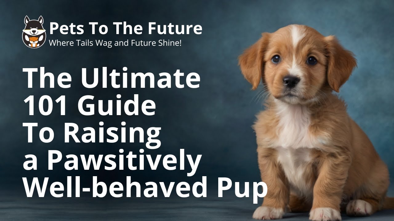 The Ultimate 101 Guide to Raising a Pawsitively Well-Behaved Pup - YouTube