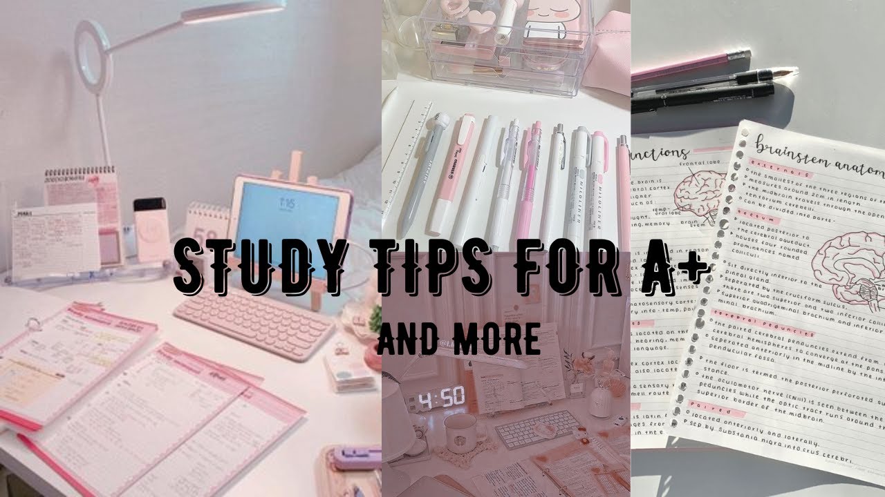 STUDY TIPS: STUDY ROUTINES,MEMORISING TIPS,NOTES MAKING TIPS - YouTube