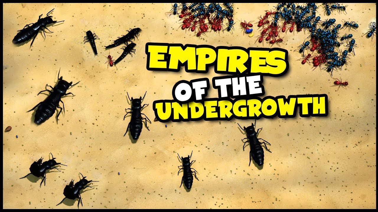 MASSIVE Black Ant Army DESTROYS Invading BEETLES! ROYAL GUARD ...