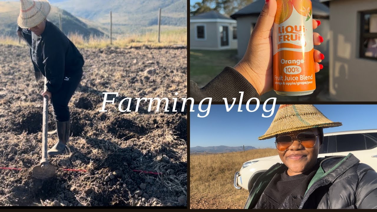 #vlog | Going to the bundus| Planting cabbage| cooking - YouTube