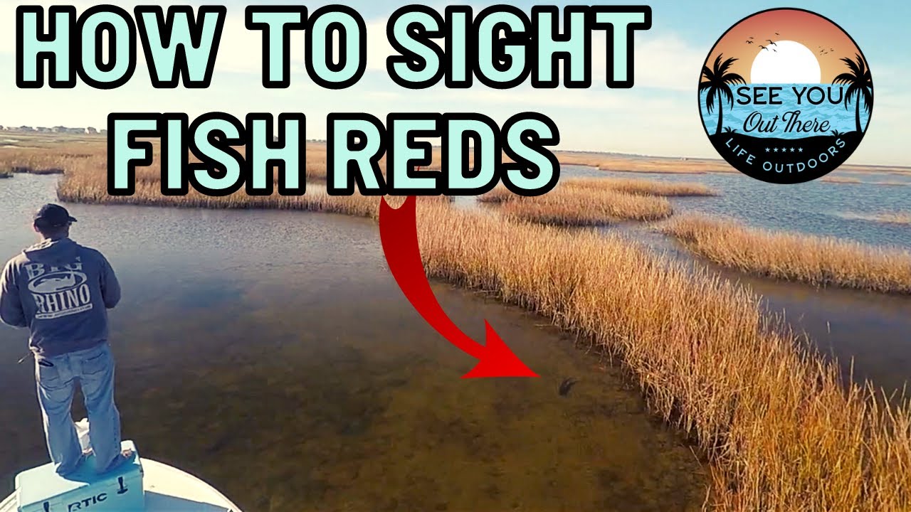 Sight Fishing Redfish | HOW TO VIDEO - YouTube
