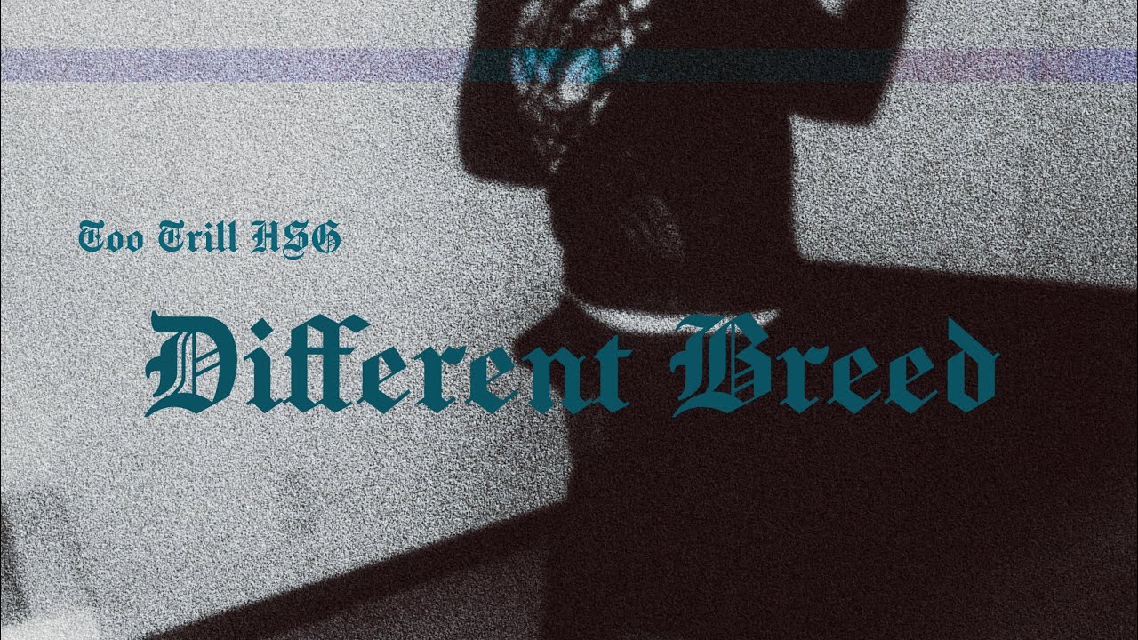 Too Trill HSG - Different Breed [Official Audio] - YouTube