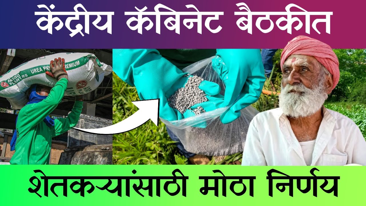 डीएपी खता बाबत केंद्रीय मंत्रिमंडळात मोठा निर्णय | यामुळे शेतकऱ्यांना ...
