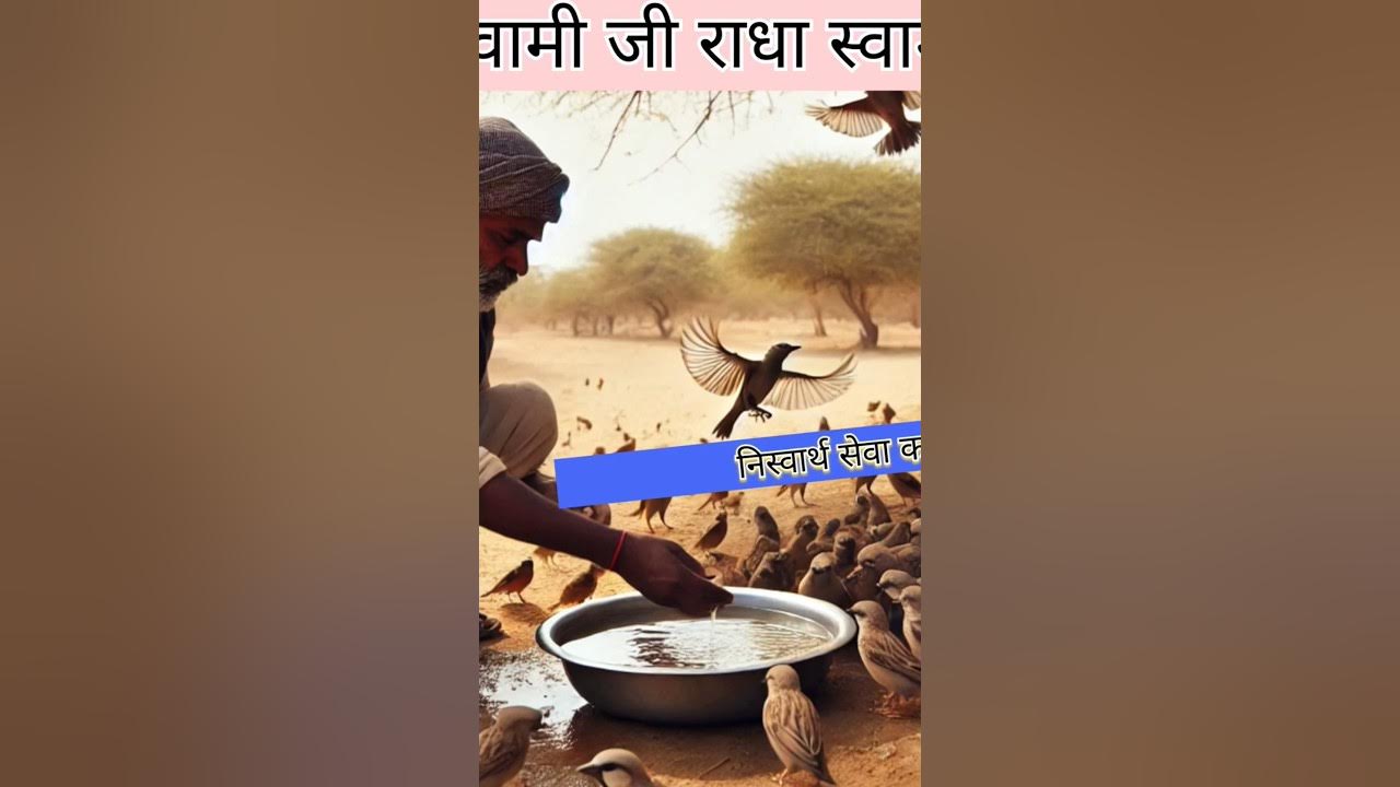 निस्वार्थ सेवा का फल Viralreel Trending Radhasoami Beas Bhagti