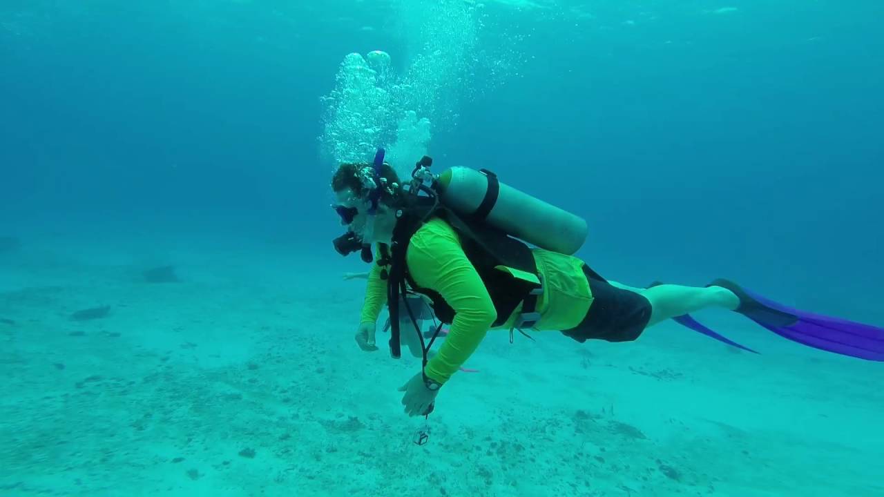 Cozumel Scuba Dive - Sand Dollar Sports Carnival Magic Shore Excursion ...