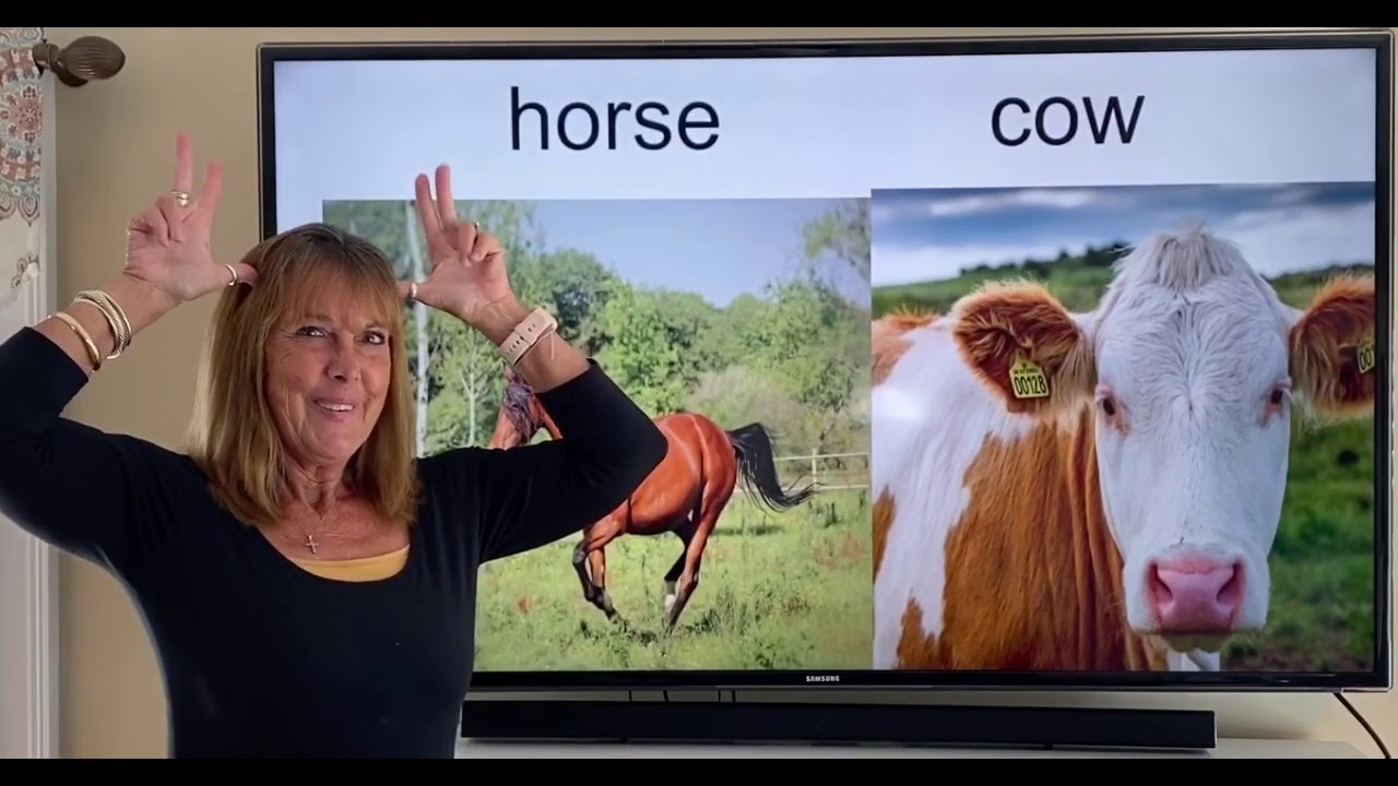 Learn how to sign Farm Animals in American Sign Language. - YouTube