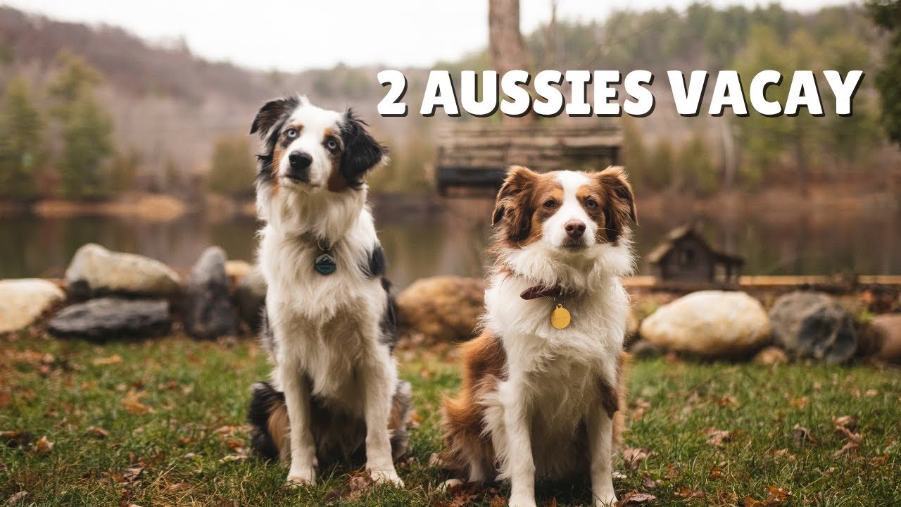 2 Aussies Go On 3 Day Vacation - YouTube