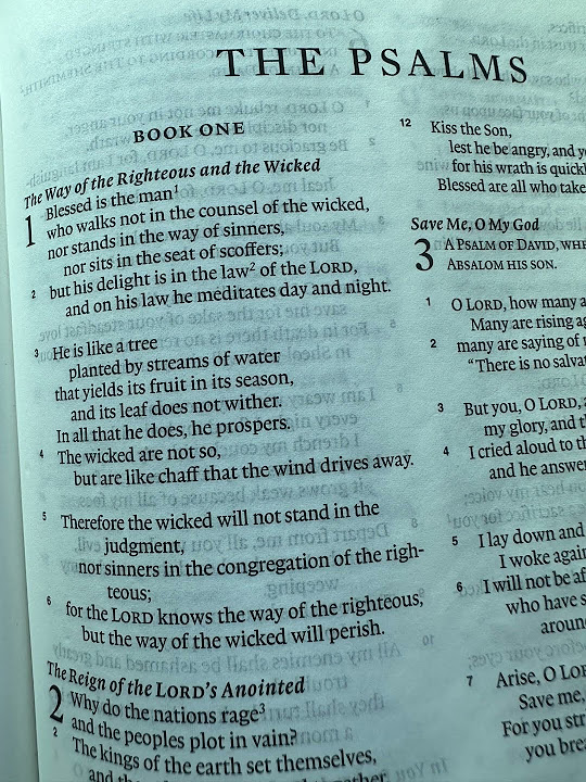 Psalms Chapter 1 English Standard Version YouTube psalms-chapter-1-english-standard-version-youtube