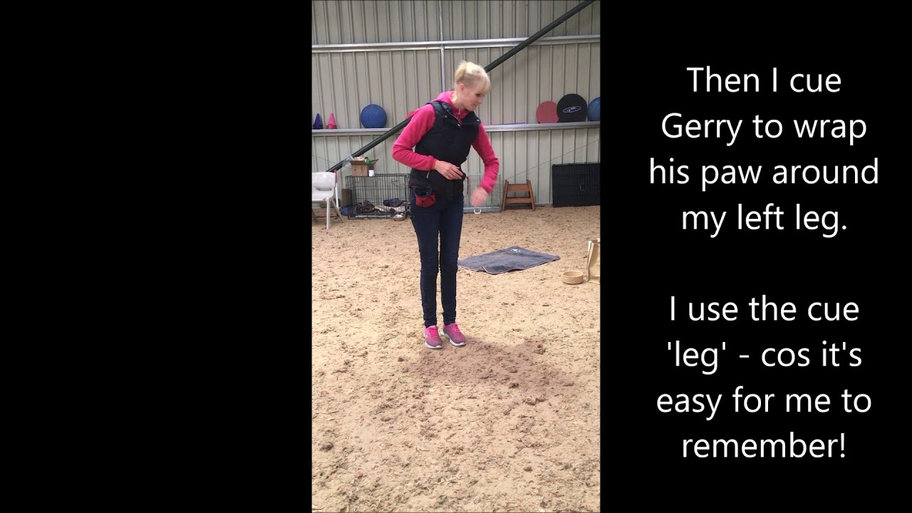 Trick: "Wrap Your Paw Around My Leg" - YouTube