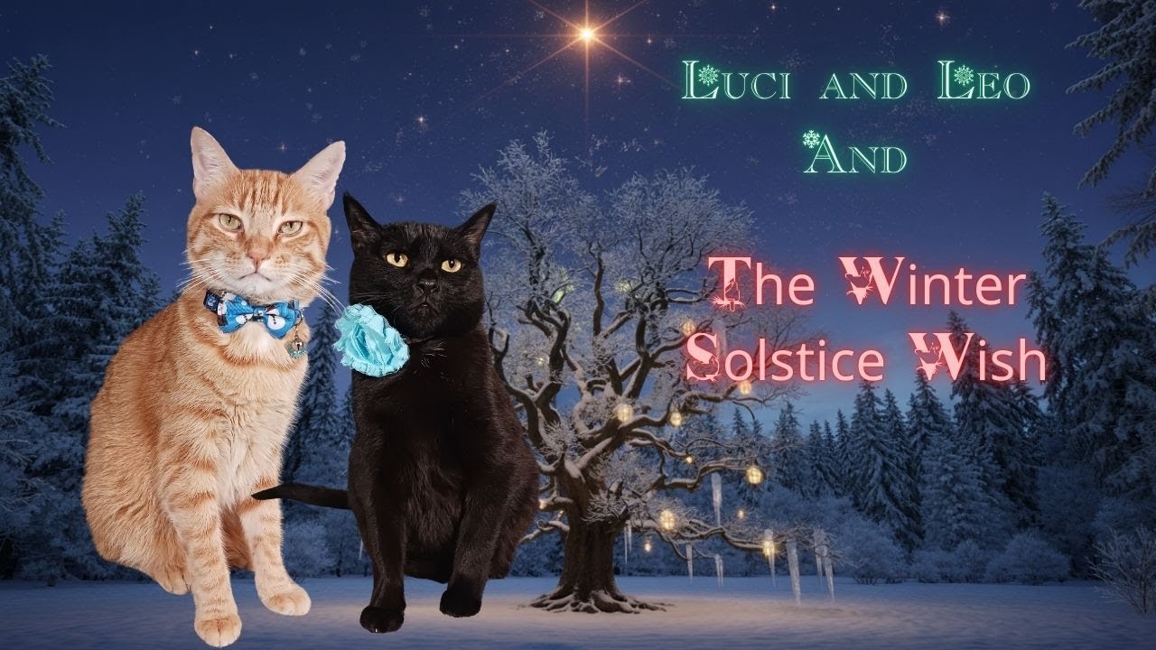 Luci and Leo And The Winter Solstice Wish - YouTube