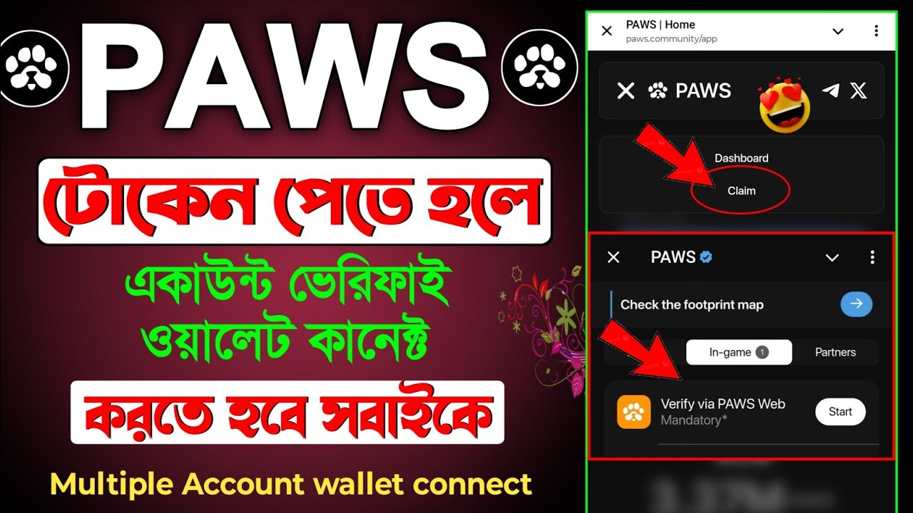 Paws Verify via PAWS Web New Task | How to Connect Solana wallet in ...