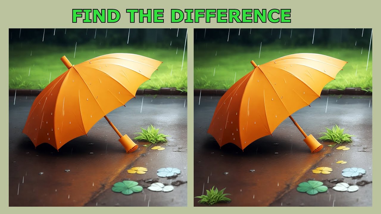 [Spot the difference] Test Your Observation Skills [Find the difference ...