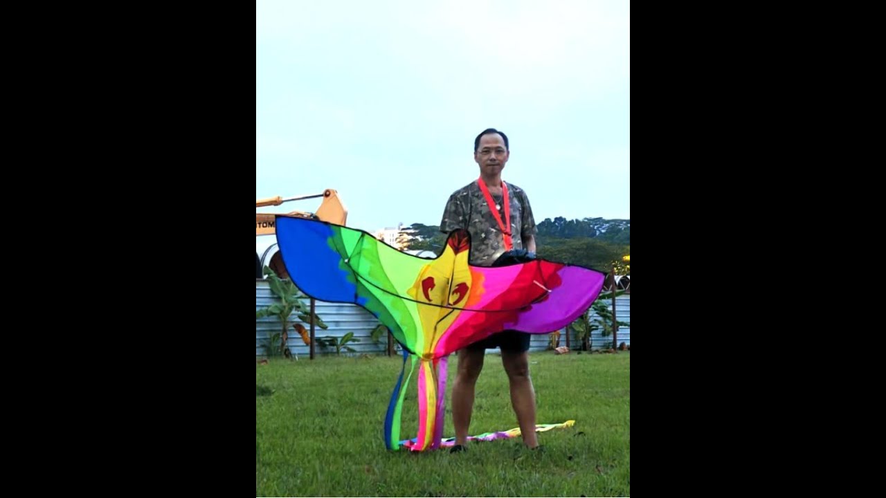 1.8 meter wing span Pheonix RC Kite - YouTube