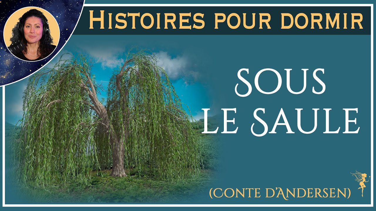 Histoire pour dormir | Sous le Saule | Conte d'Andersen (Attention ...