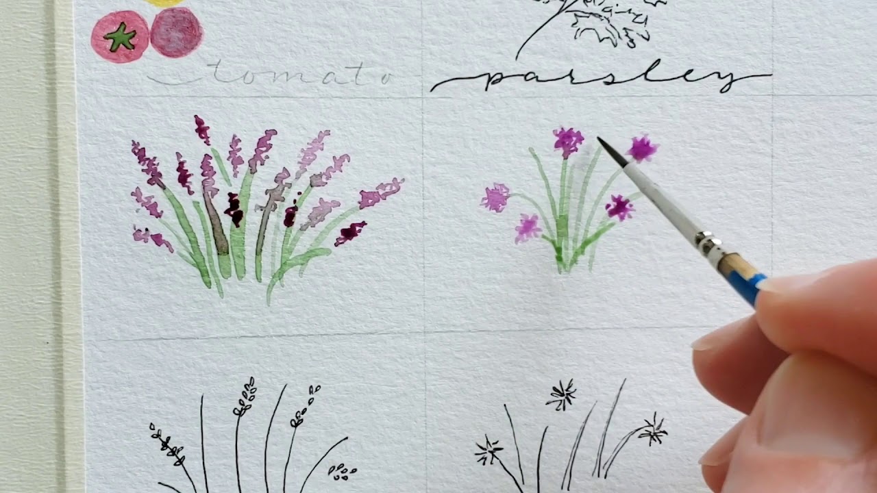 Easy Drawings for Plant Labels - Lavender and Chives 2 - YouTube