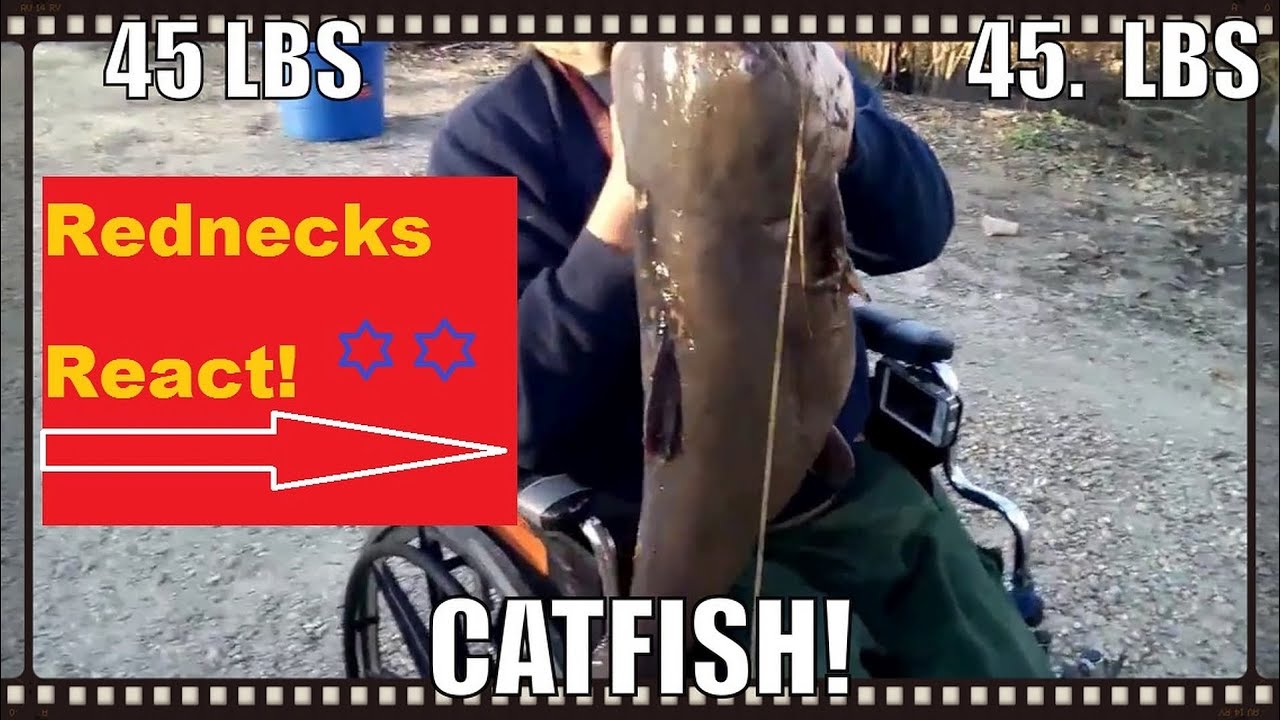 Rednecks React to HUGE Catfish. Fishing Trip Yields Monster Fish - YouTube