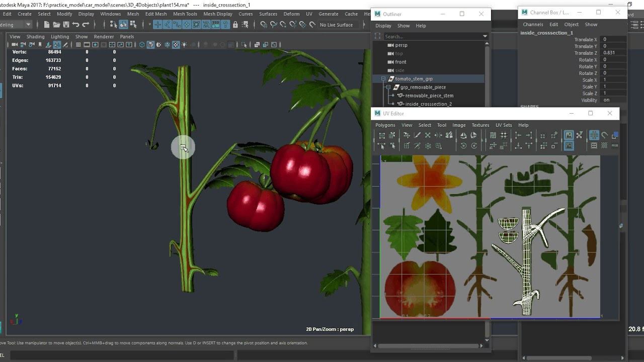 tomato plant video maya 2017 - YouTube