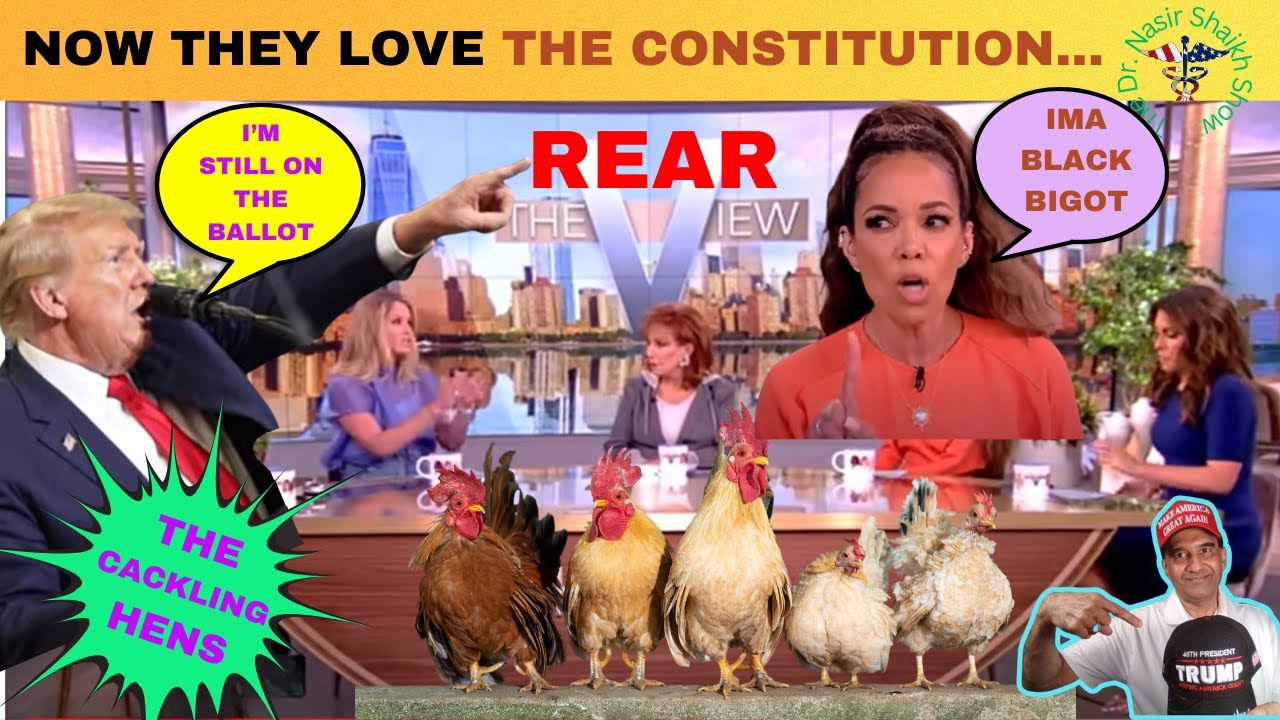 The VIEW VERBAL DIARRHEA: Lady Hens Agree Trump Shouldn't Be on Ballot ...