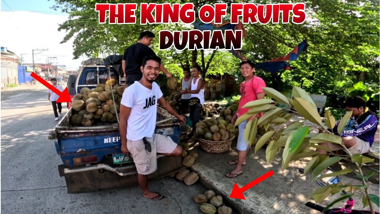 DURIAN THE KING OF FRUITS. MAGANDA PANG NEGOSYO. - YouTube