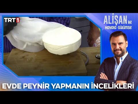 Şirden mayalı beyaz peynir nasıl yapılır? | @AlisanileHayataGulumseTRT