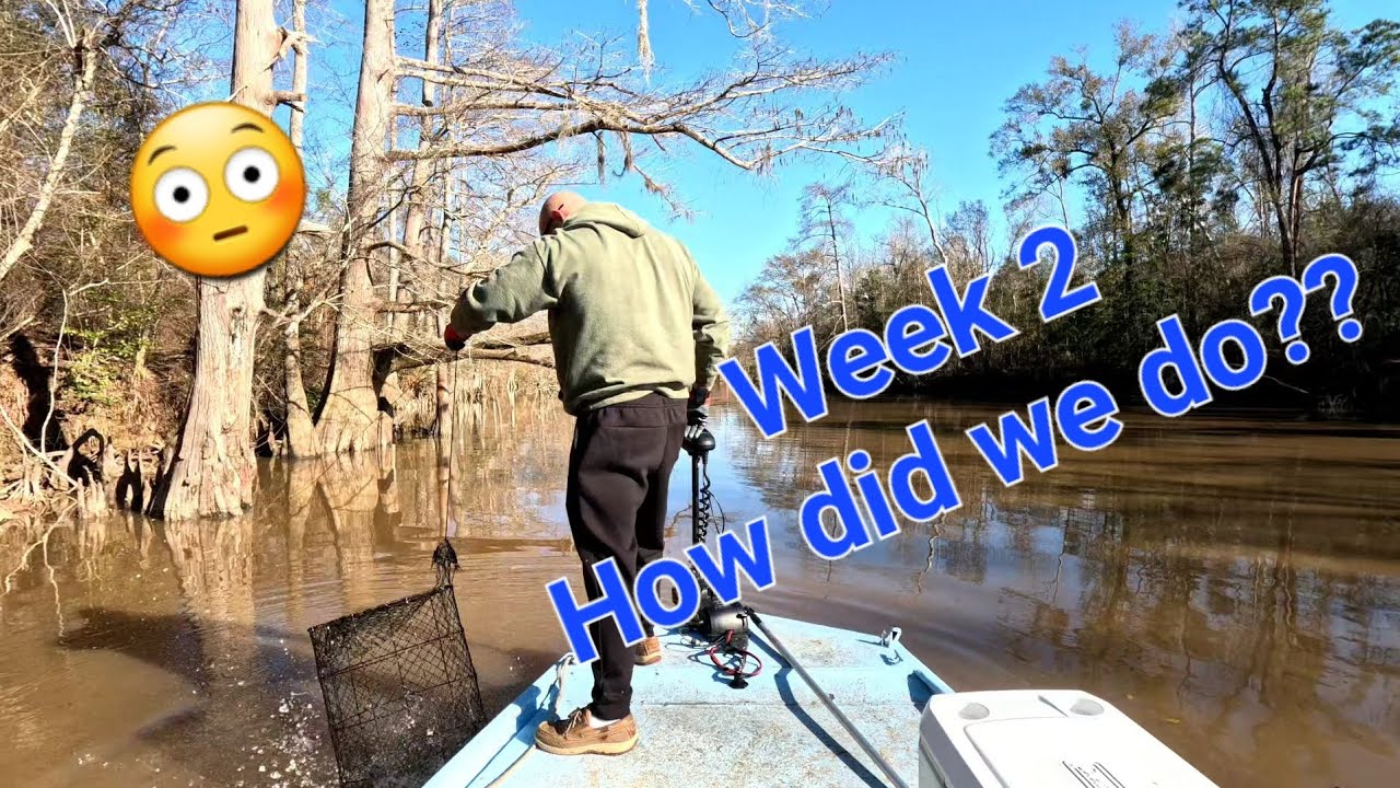 Week 2: How did we do?? - YouTube