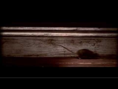 John Nolan's Cheddar Cheese Commercial - London - Sept 2009 - YouTube
