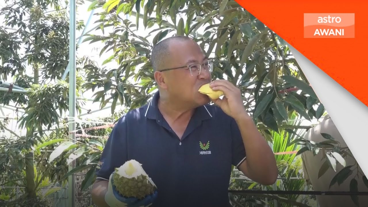 'Baka baharu 'durian Hainan' - YouTube