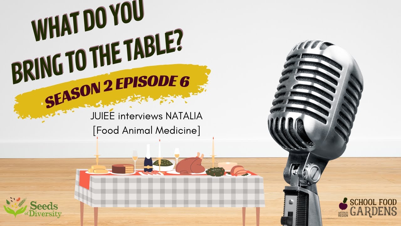 Juiee & Natalia: Food Animal Medicine - YouTube