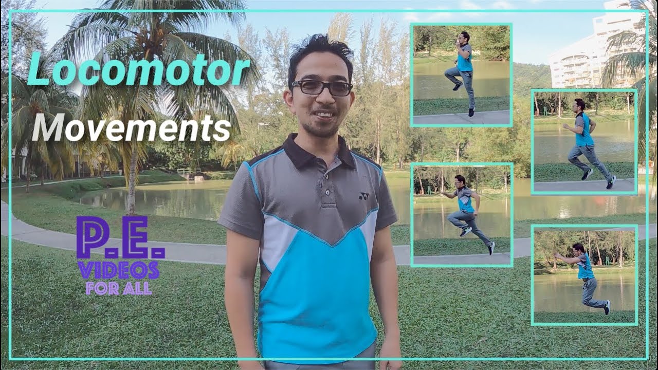 Locomotor Movements Explained YouTube locomotor-movements-explained-youtube