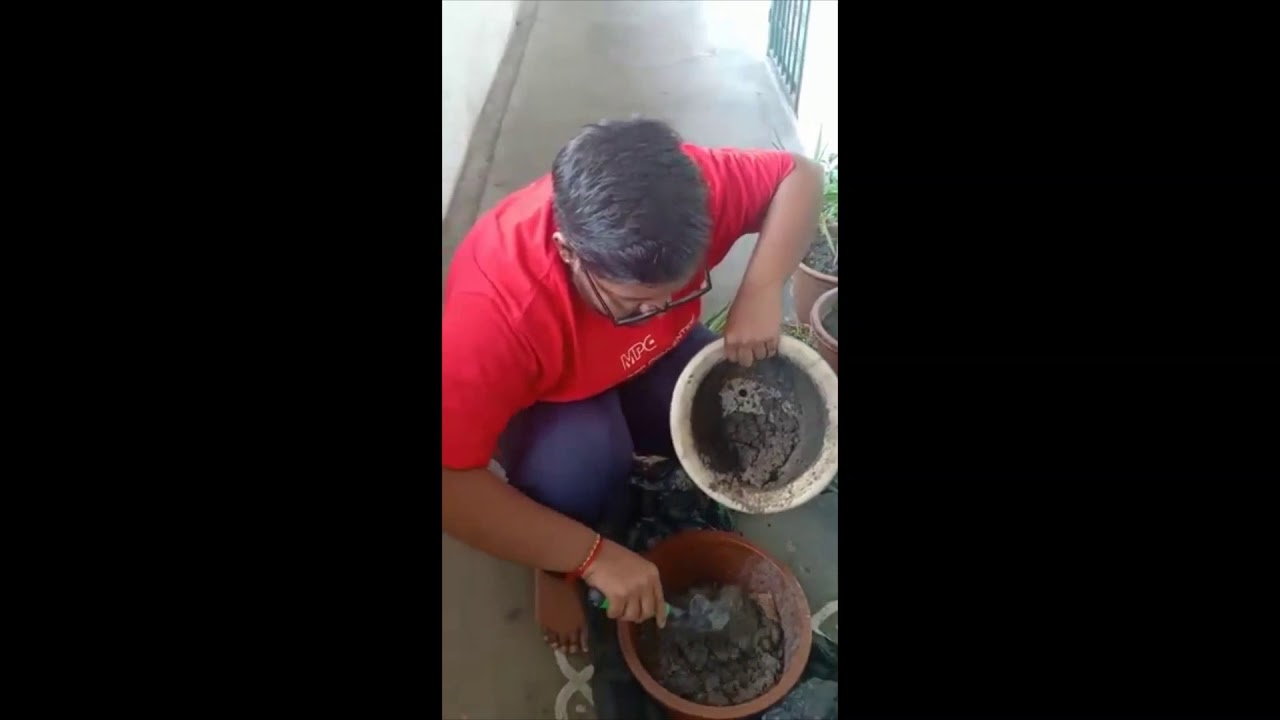 Portfolio 1 Plant Aloe Vera | PEC201 ORAL COMMUNICATION | MSU - YouTube