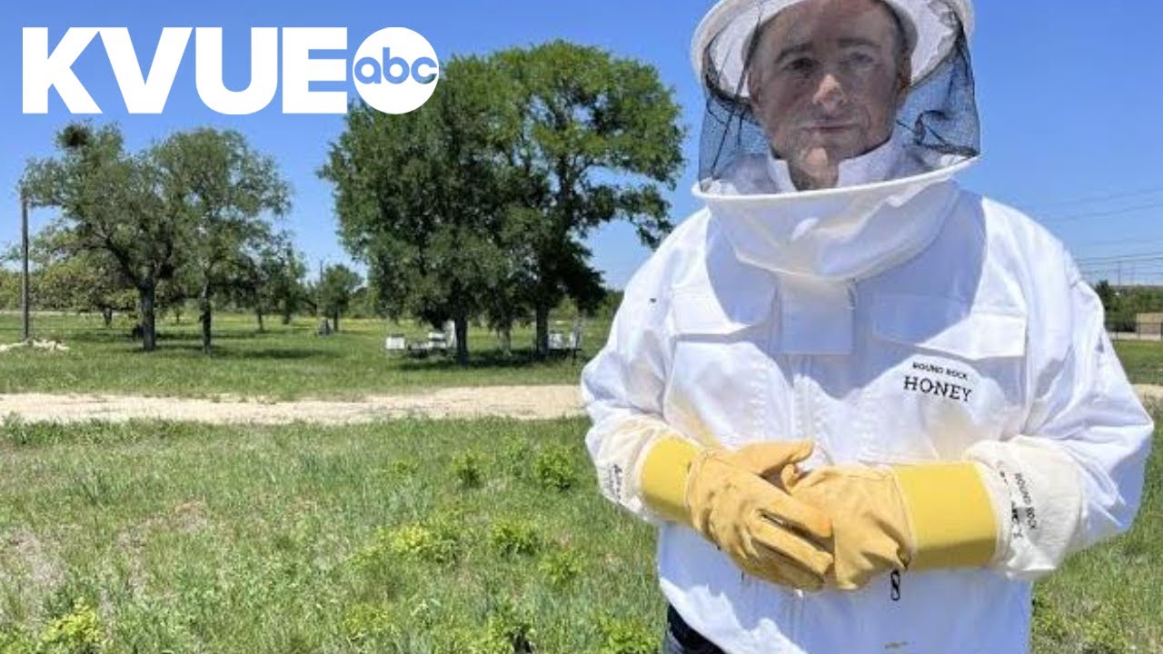 Texas beekeepers seeing increase in honeybee deaths - YouTube