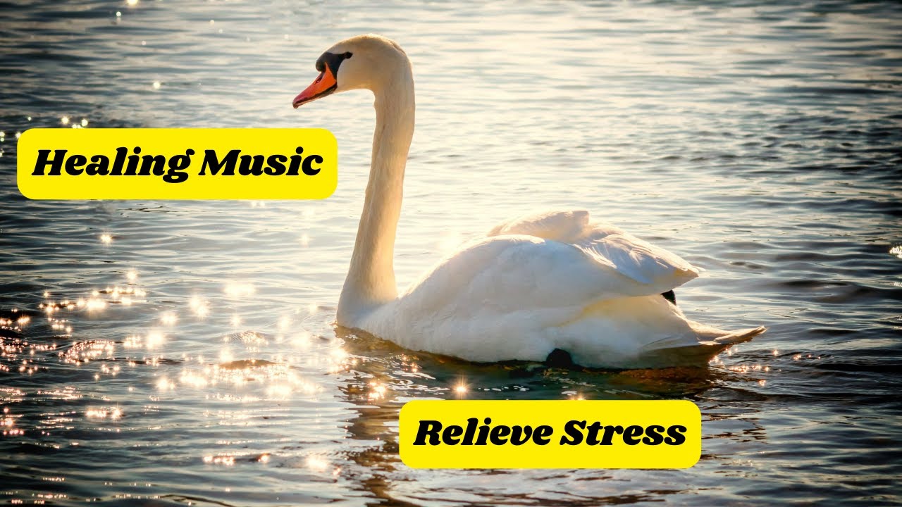 Healing Music to Relieve Stress With Nature Sound / mp3 Musical ...