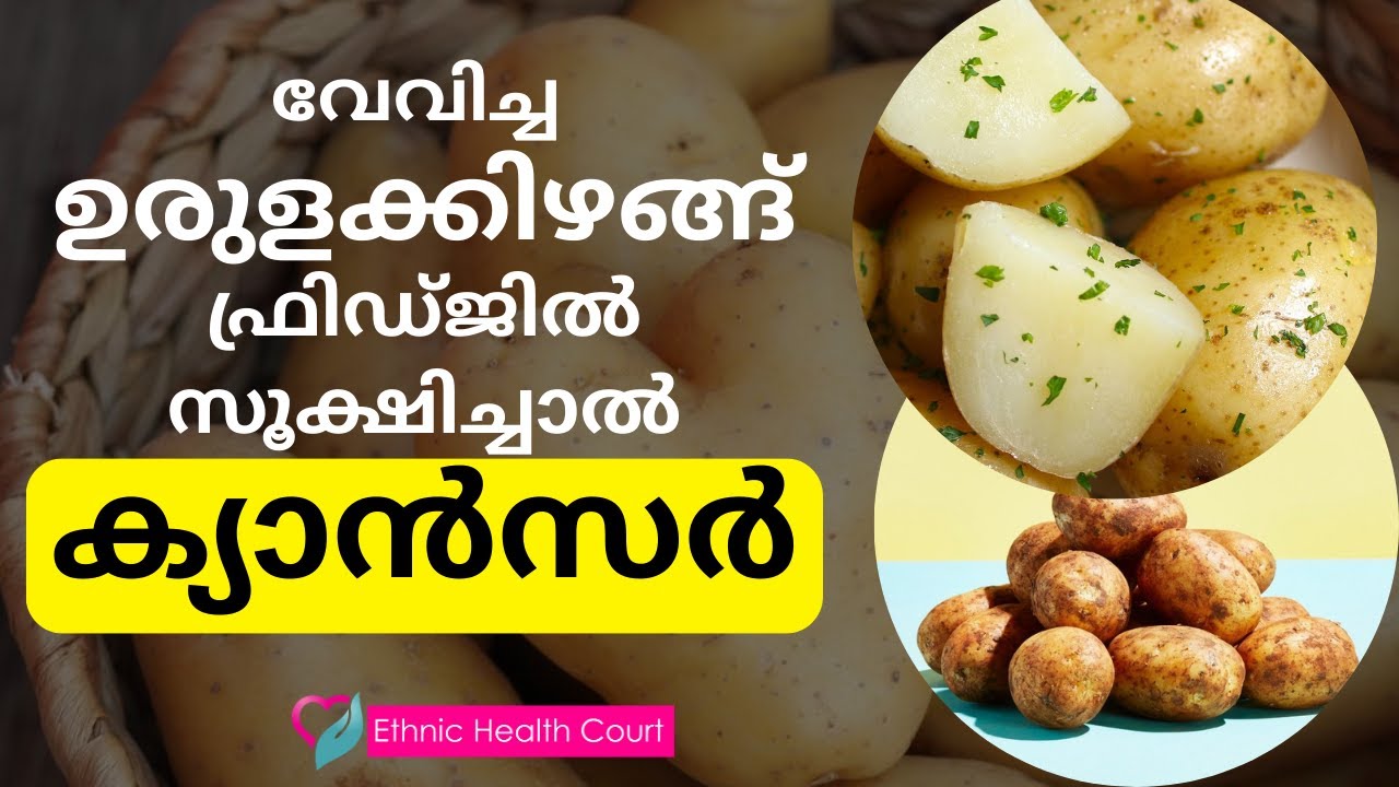 വേവിച്ച ഉരുളക്കിഴങ്ങ് ഫ്രിഡ്ജിൽ സൂക്ഷിച്ചാൽ ക്യാൻസർ |Boiled Potatoes ...