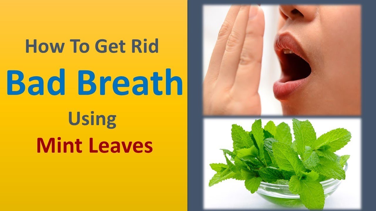 How To Get Rid Bad Breath Instantly Using Mint Leaves Get Rid Bad