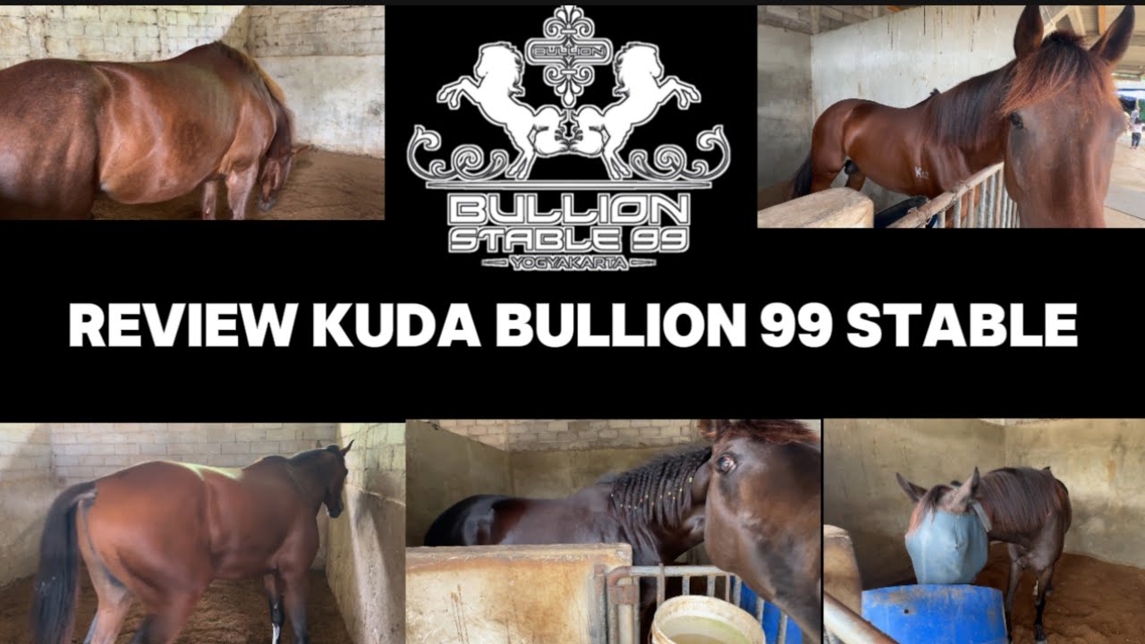 REVIEW KUDA PACU BULLION 99 STABLE"" Menjelang JATENG DERBY 2025 - YouTube