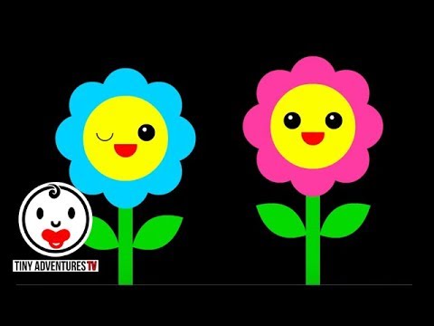 Baby Sensory - Dance Series | Flowers - High Contrast Color Animation (fun video for baby)