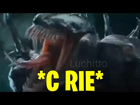 35 SEGUNDOS DE RISA DE ARDILLA - YouTube