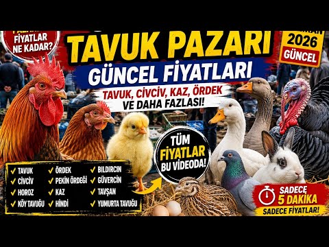 5 Dakikada Tüm Pazar Fiyatları!ALIM-SATIM YOK!#günceltavukpazarıfiyatları