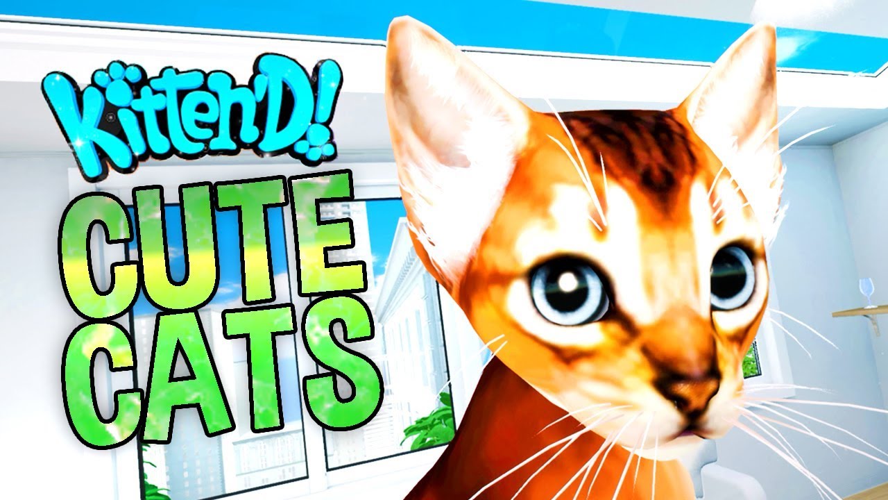 Cat Owner Simulator VR! Cute Cats Everywhere! - Kitten'd Gameplay (HTC ...
