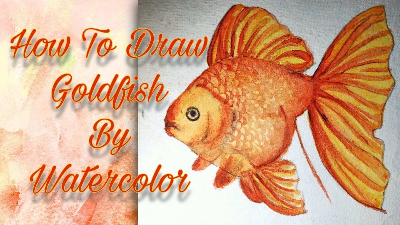 How To Draw Goldfish By Watercolor In Easy Steps! @ashadrift - YouTube