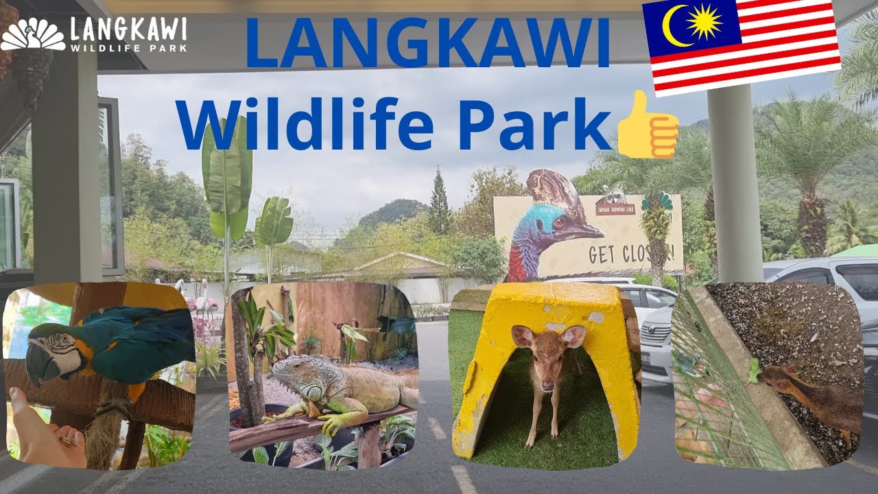 Wildlife Park Langkawi или парк дикой природы - YouTube