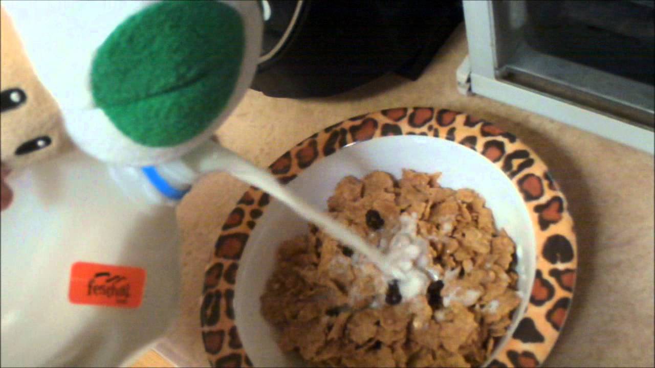 Toad makes Raisin Bran Cereal - YouTube