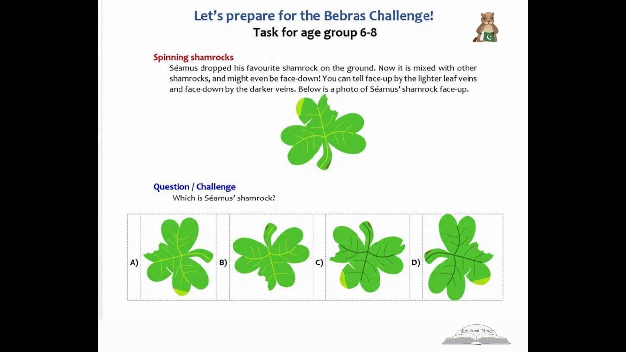Solving Bebras Challenge 2024: Task Spinning Shamrock (age group 6-8 ...