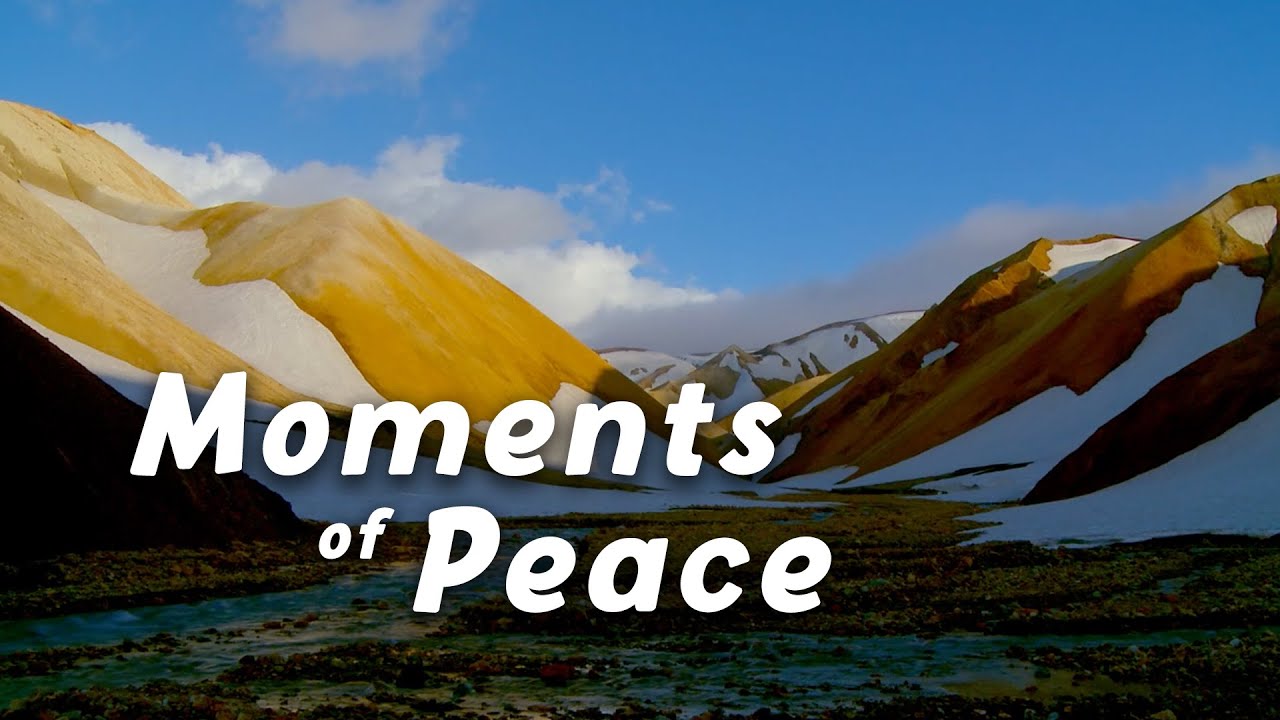 Moments of Peace in Nature - Piano - Rustgevende Muziek - YouTube